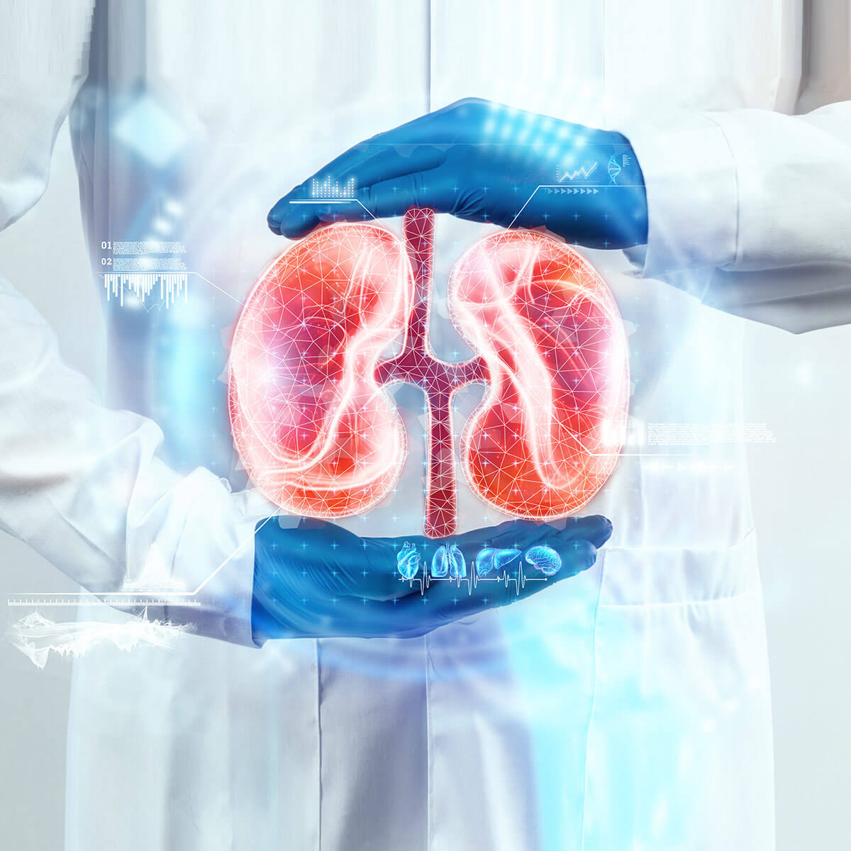 The Importance of Monitoring Kidney Function - SYNLAB Nigeria