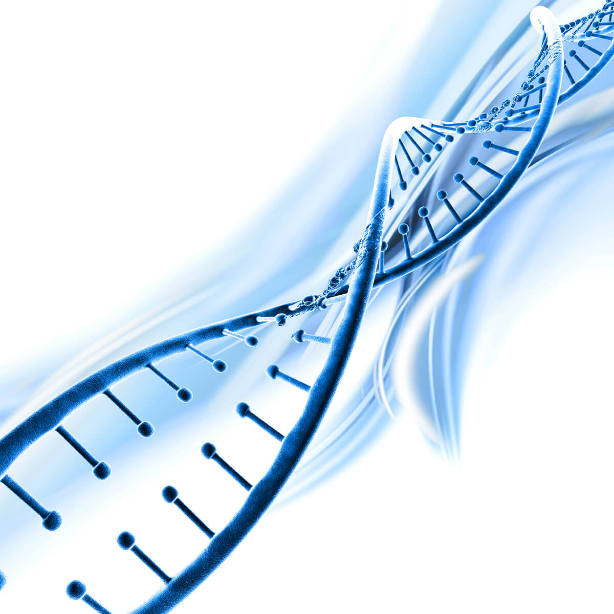 What You Need To Know About Genotype Testing - SYNLAB Nigeria