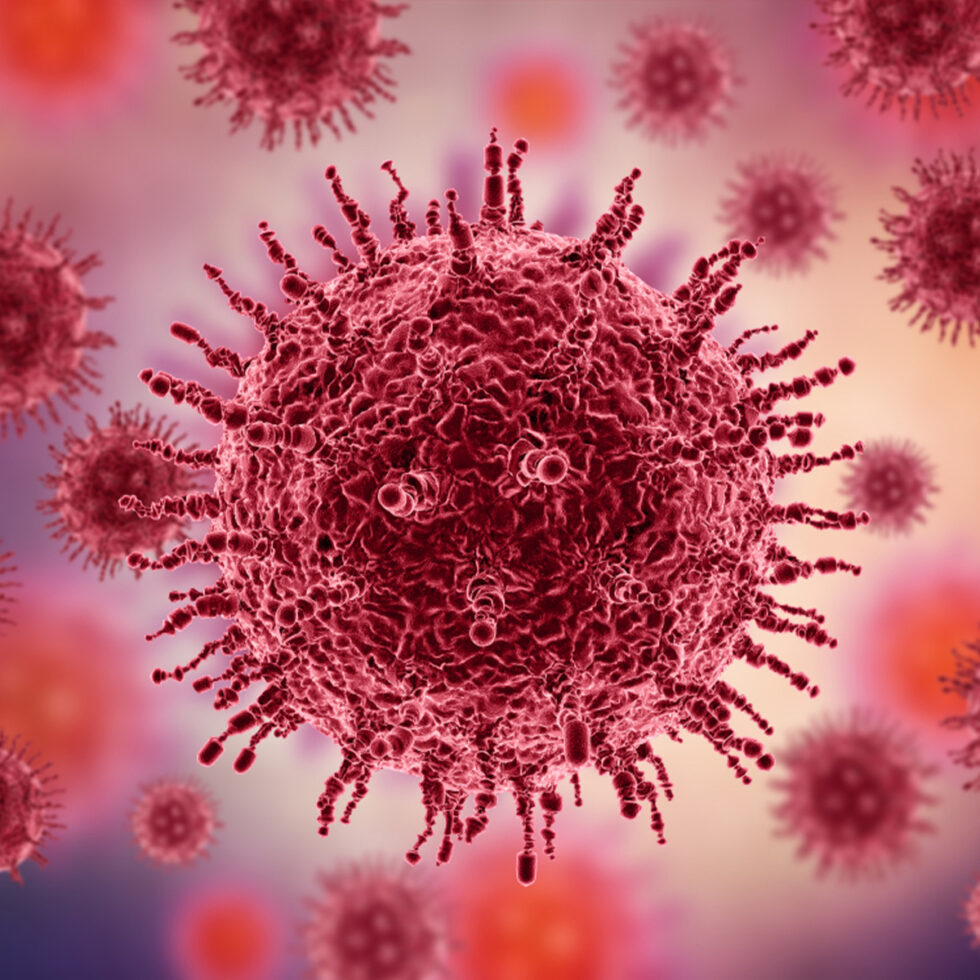 A Proper Understanding of HPV (Human Papillomavirus) - SYNLAB Nigeria